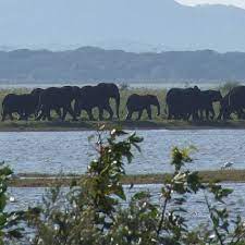 SAPS arrest invaders at Futululu Forest - Radio Islam