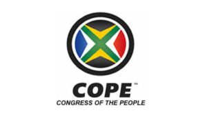 Do small parties such as COPE still have a role to play in SA politics ...
