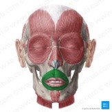 The Greatness of Allah in the Human Face | Radio Islam