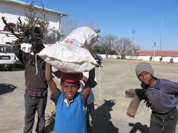 Child Labour In South Africa | Radio Islam